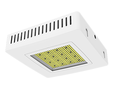 Goldenlux Offers A Series Of Commercial Grade LED Lighting Products To ...